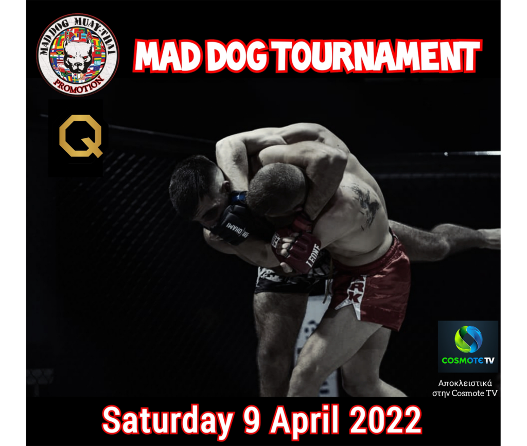 Home - Quest Fighting League